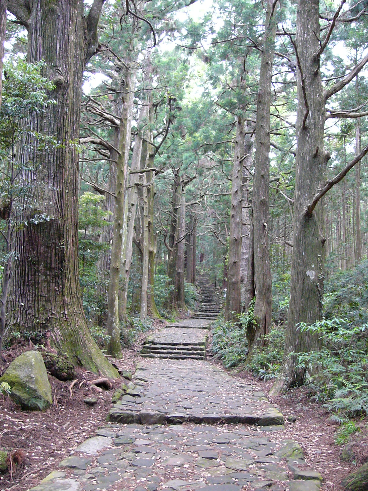 Walking and hiking in Japan – Japan Specialist Travel